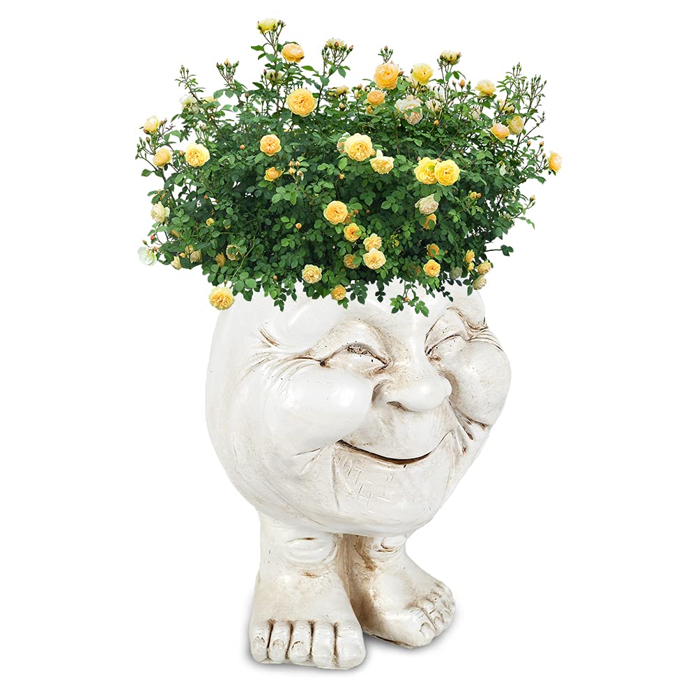 Buy Hands DIY Humorous Flower Pot Funny Muggly Face Figurine er Granny ...