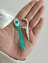 Amazon.com : Freshee 5 in 1 Disposable Mini Toothbrush with Toothpaste ...