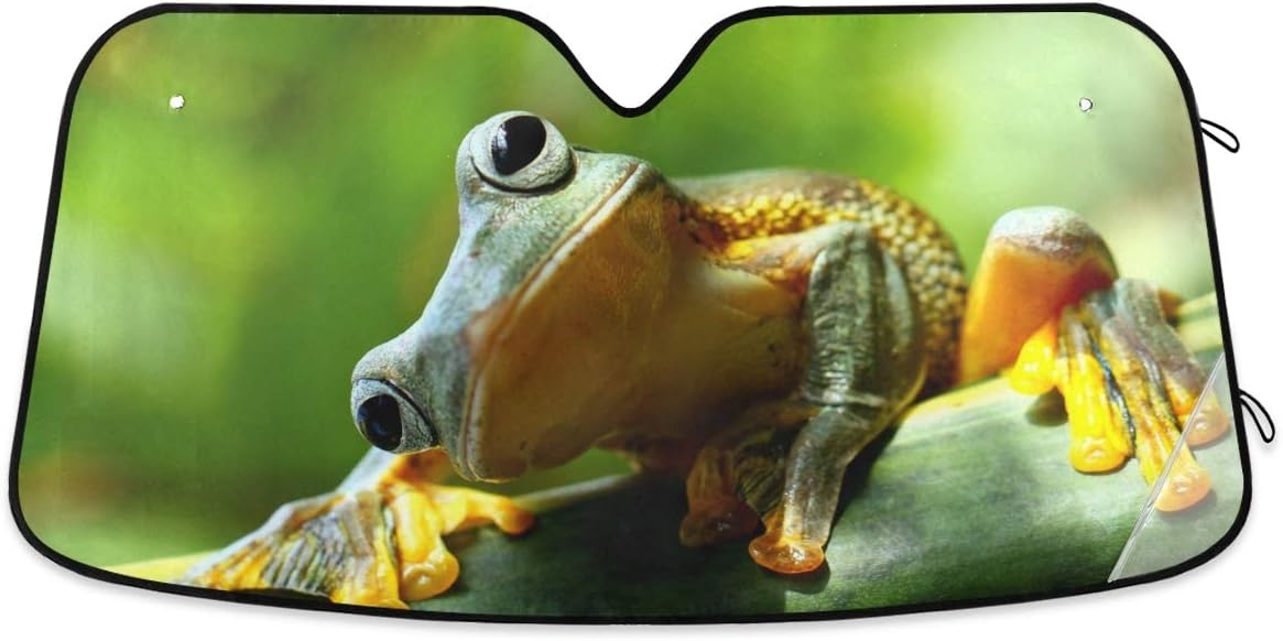 Amazon.com: Car Windshield Sun Shade - Frog Sun Visor Protector ...