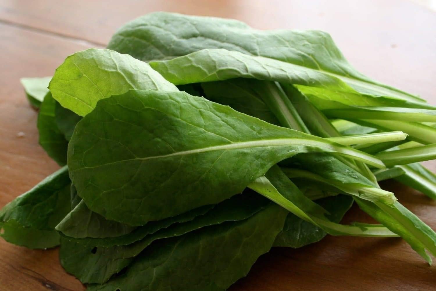 Amazon.com: Mustard Green Spinach Komatsuna Tendergreen (Brassica rapa ...