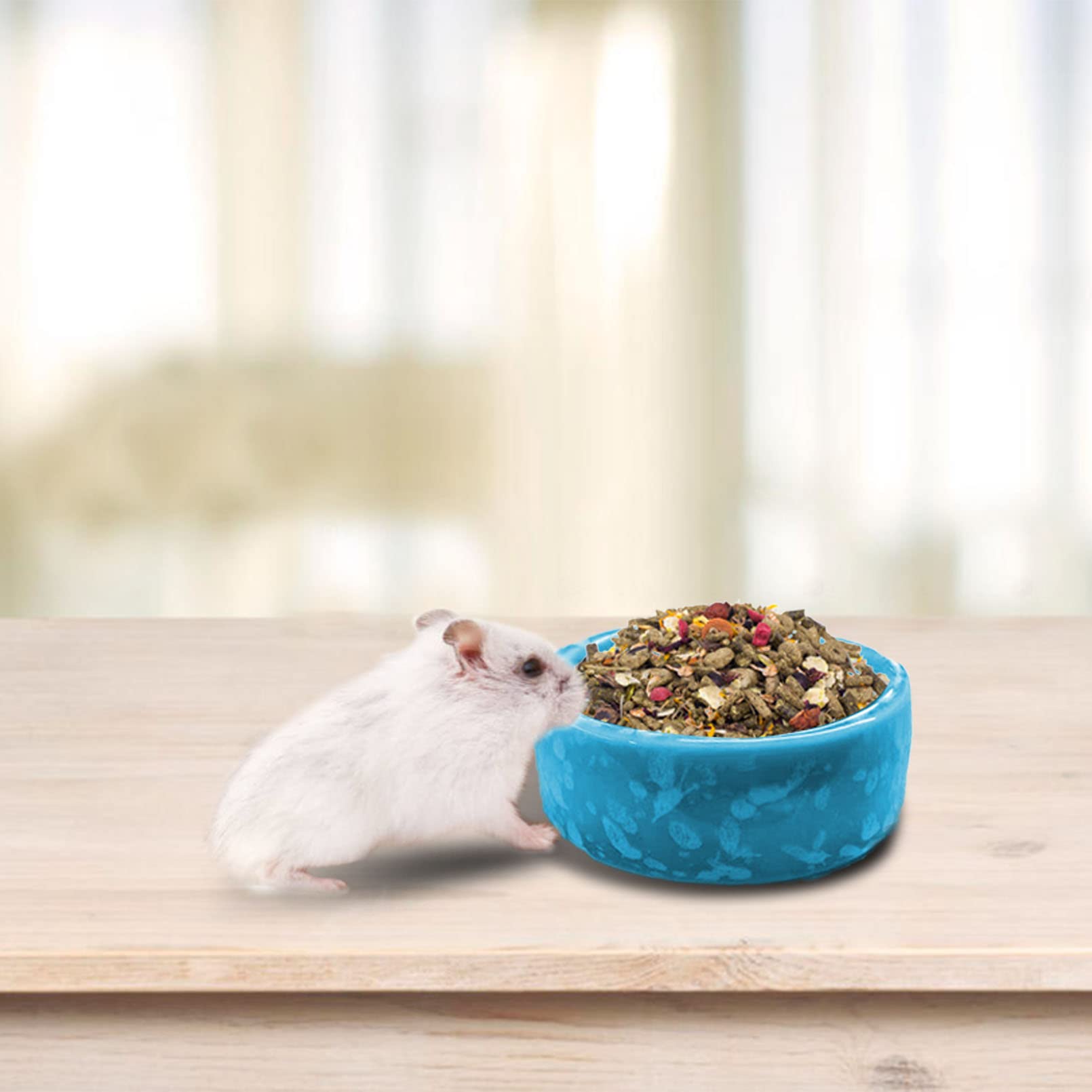 Snapklik.com : Kathson 2 Pcs Hamster Food Bowl Guinea Pig Ceramic Water ...