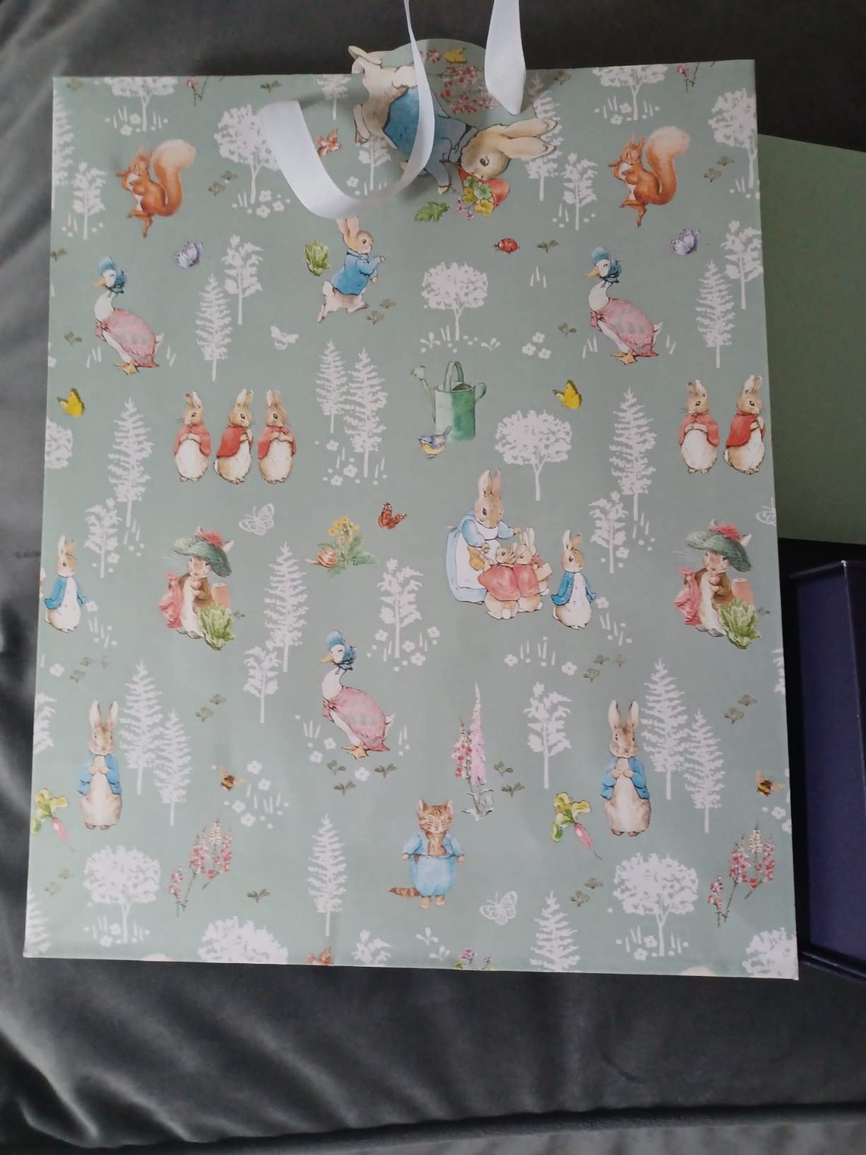 UK Greetings Peter Rabbit Large Gift Bag for Him/Her/Friend - For ...