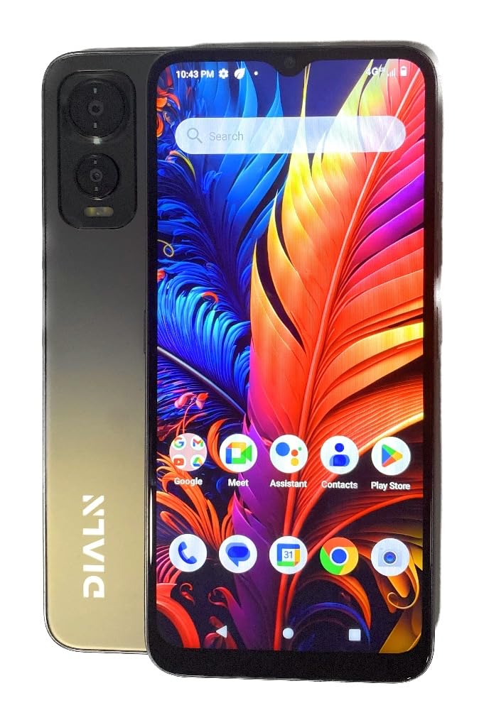 Dialn X65 64GB Unlocked Cell...B0CK5GDCHZ | Encarguelo.com