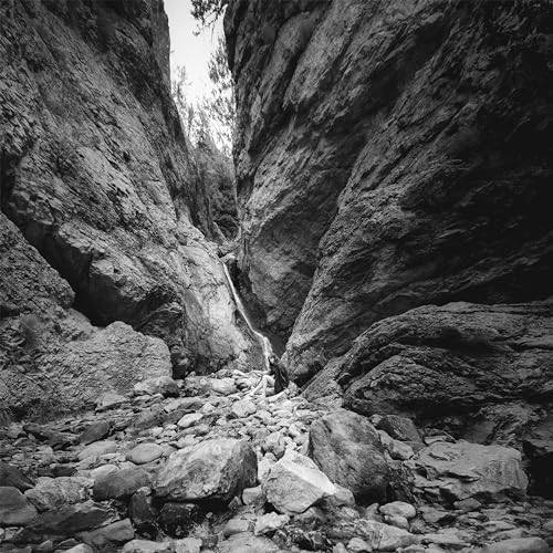 Amazon Music - Madzのserendipity - Amazon.co.jp