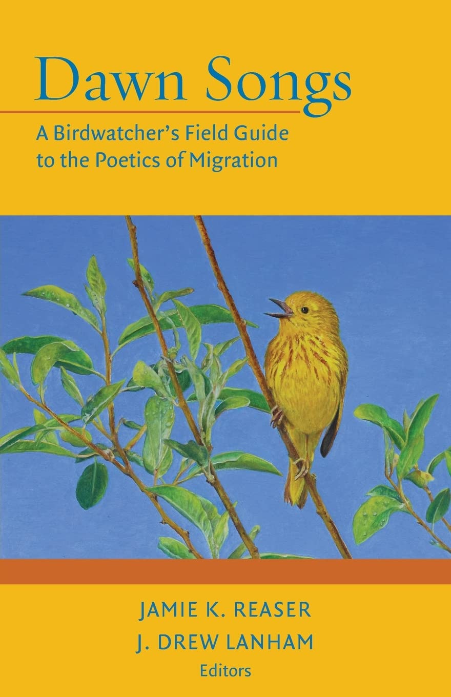 Amazon.com: Dawn Songs: A Birdwatcher's Field Guide to the Poetics of ...