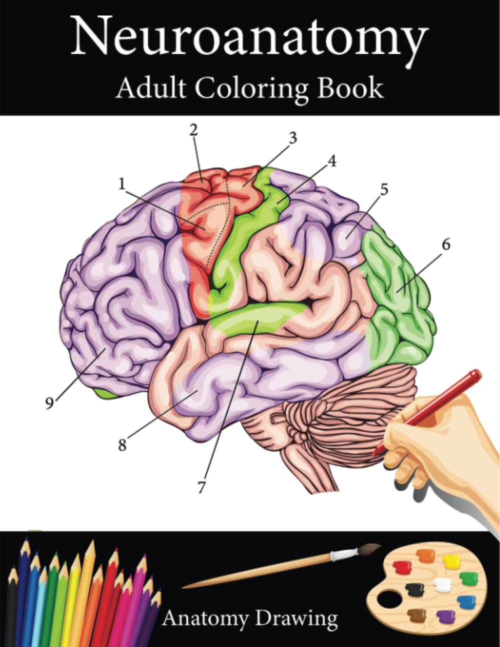 Amazon.com: Neuroanatomy: Adult Coloring Book. Incredibly Detailed Self ...