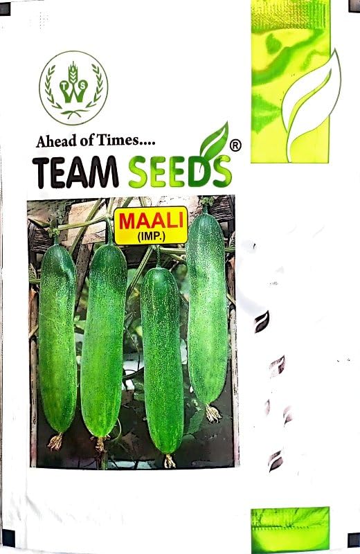 GARDEN GREEN IMPORTED CUCUMBER SEED- 10 GRAM : Amazon.in: Garden & Outdoors