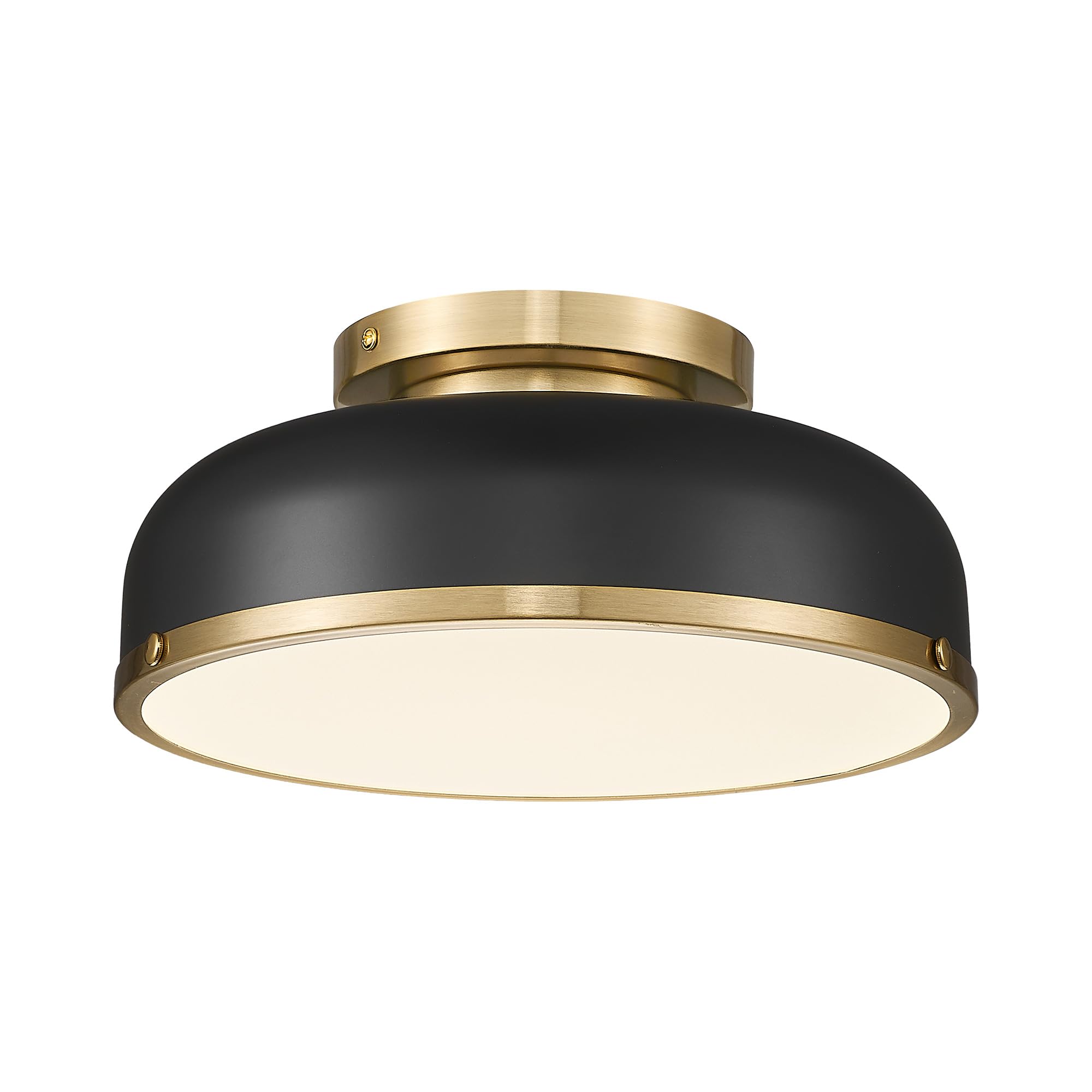 Kudos Ceiling Light, 12-inch LED Flush Mount Ceiling Light, Black and ...