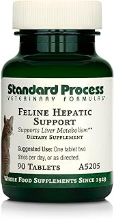The Intriguing Anatomy Of A Cat's Liver | PetShun