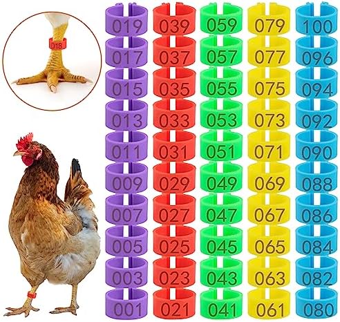 Amazon.com: NRWRTY Chicken Leg Rings, 100pcs Colorful 16mm Poultry Foot ...