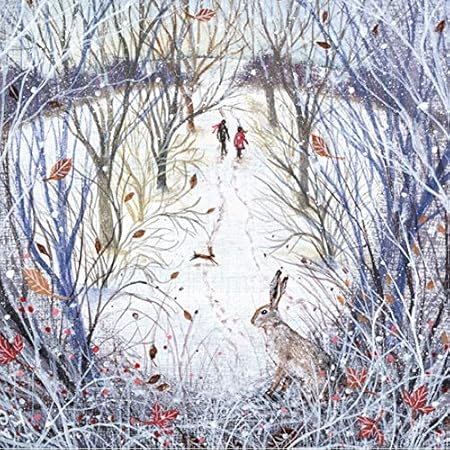 Museums & Galleries Kate Findlay Frosty Feathers Winter Birds Pack of ...