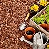 Amazon.com : GARDENWISE Premium Pine Bark Nuggets – Pine Bark Mulch for ...