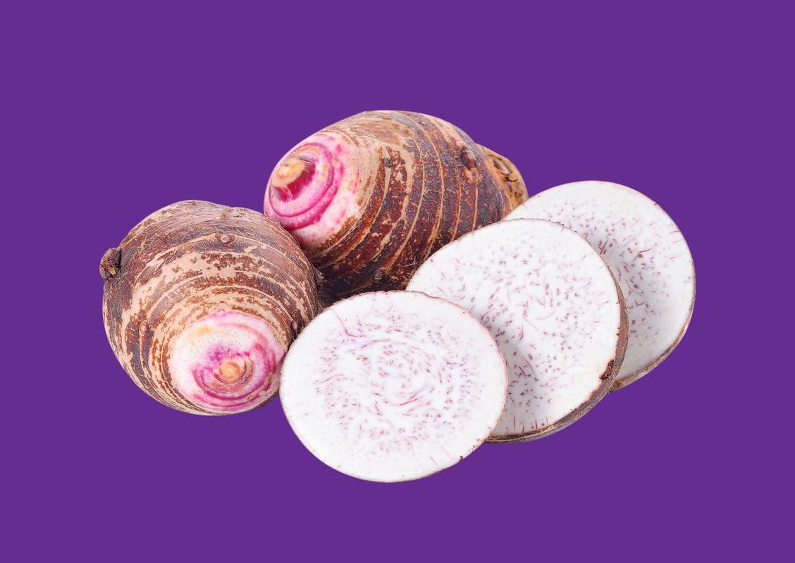 Amazon.com : 5 Taro Bulbs Elephant Ear Colocasia Esculenta Edible ...
