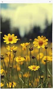 Amazon.com : Flag 3x5 Ft Double-sided Print Flag Indoor Outdoor Banner ...