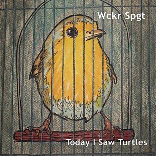 Play Today I Saw Turtles by Wckr Spgt on Amazon Music