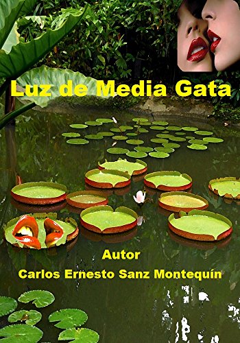 Luz de Media Gata (Spanish Edition) eBook : Sanz Montequín, Carlos ...