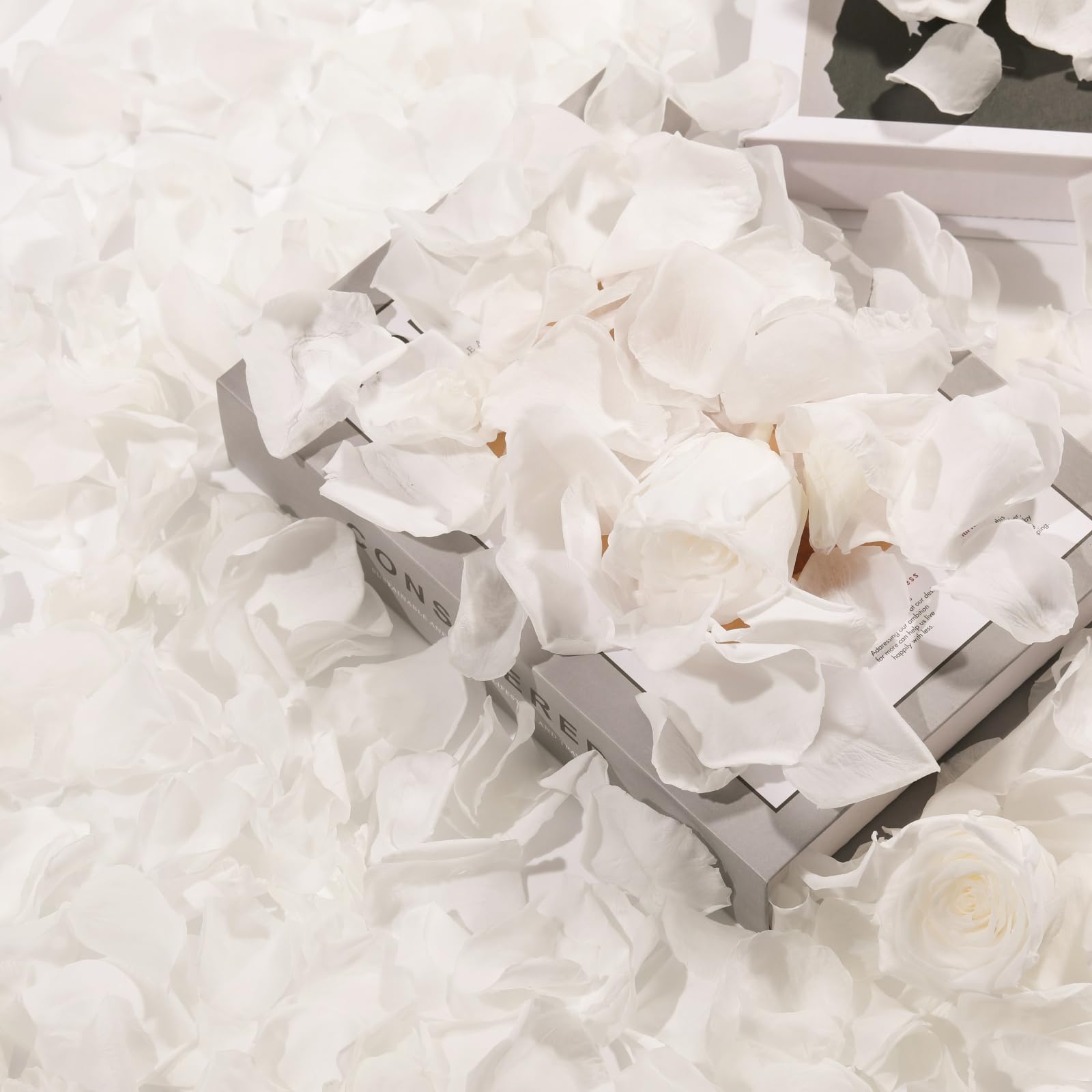 Amazon.com: Dried Real Rose Petals, Natural Preserved Dry Flower Petals ...