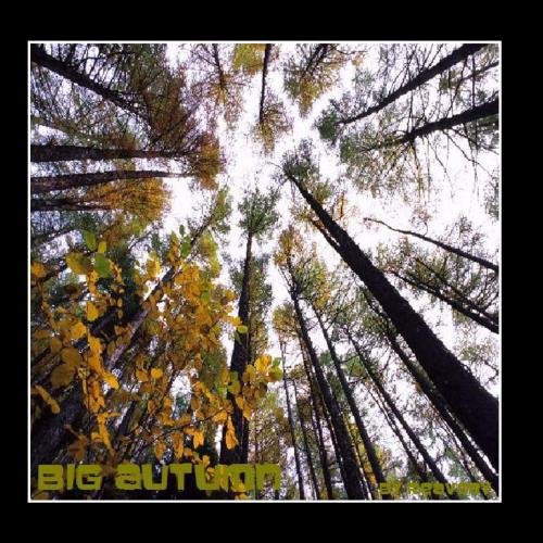 Amazon.com: Big Autumn: CDs & Vinyl