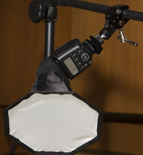Amazon.com : Professional Mini Ball Head Camera Mount : Tripod Heads ...