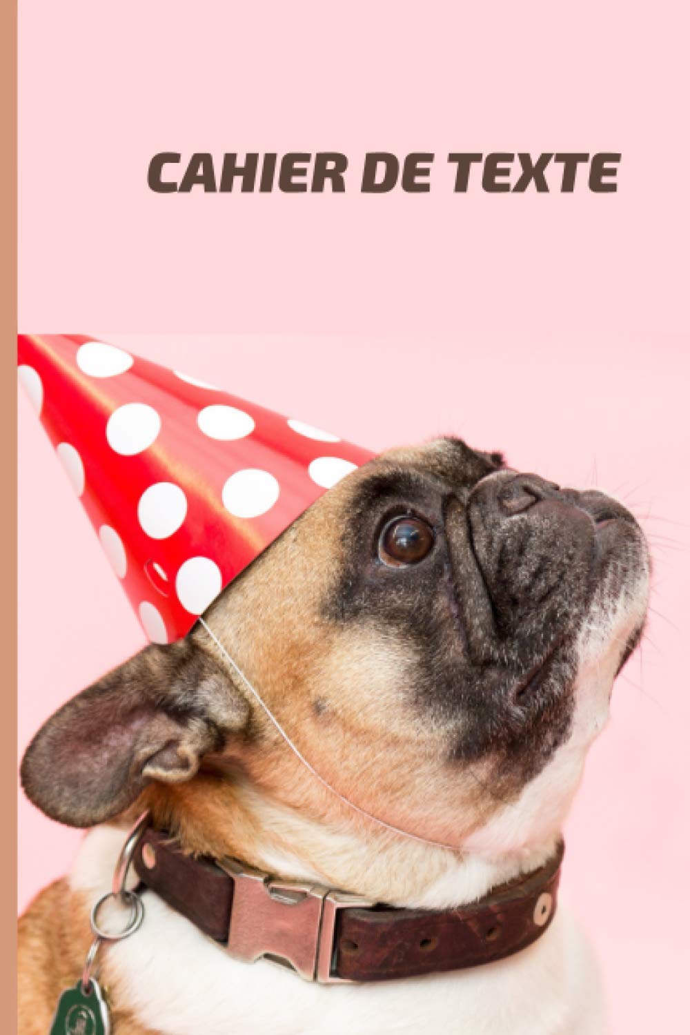 Cahier De Texte Cahier De Texte Chien 2020 2021 Cahier | Desertcart ...