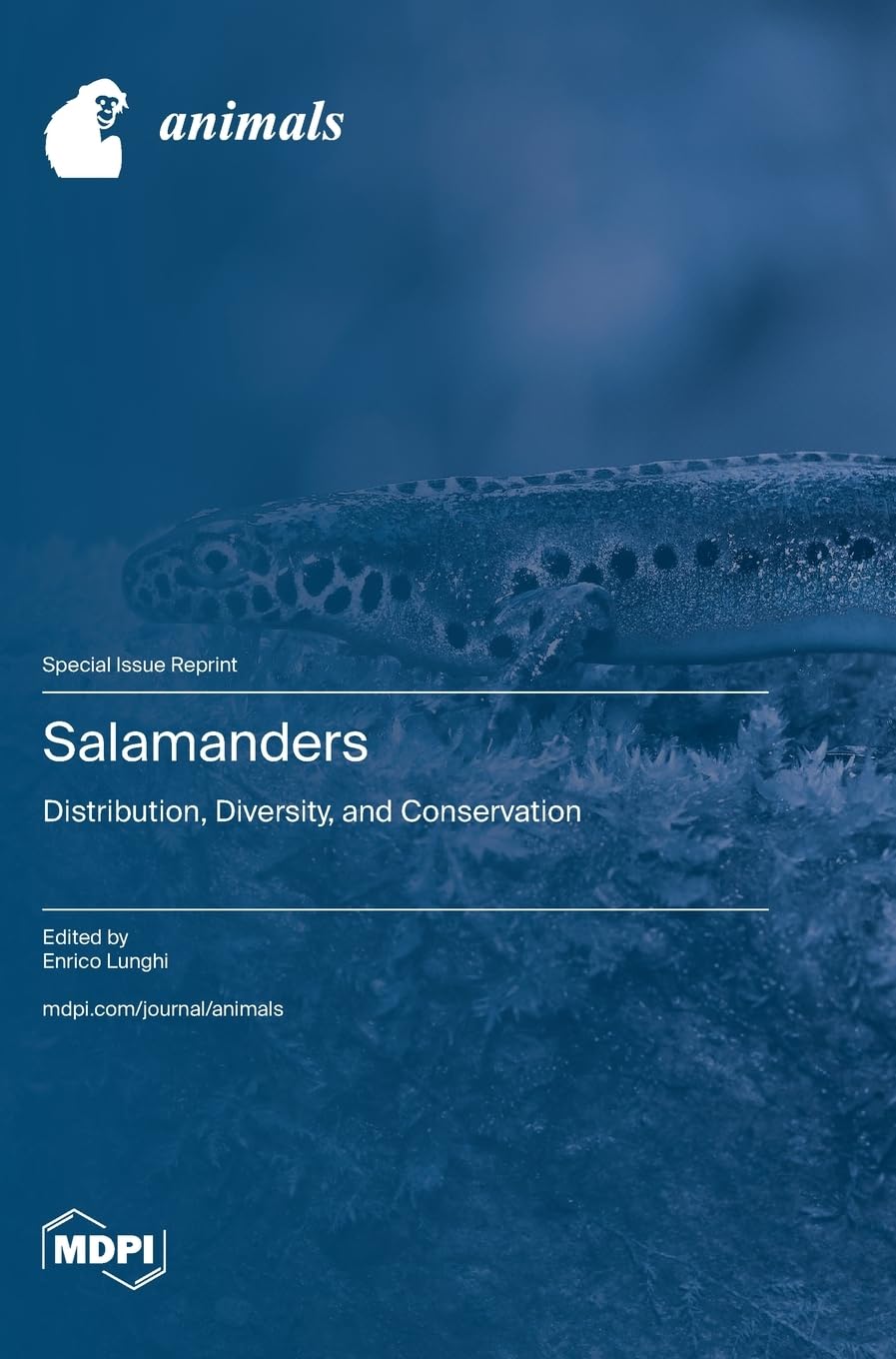 Salamanders: Distribution, Diversity, and Conservation: Lunghi, Enrico ...