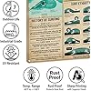 Amazon.com: NEGLAI Surfing Knowledge Anatomy Of A Wave Surf Etiquette ...