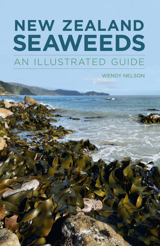 New Zealand Seaweeds: An Identification Guide: Nelson, Wendy ...