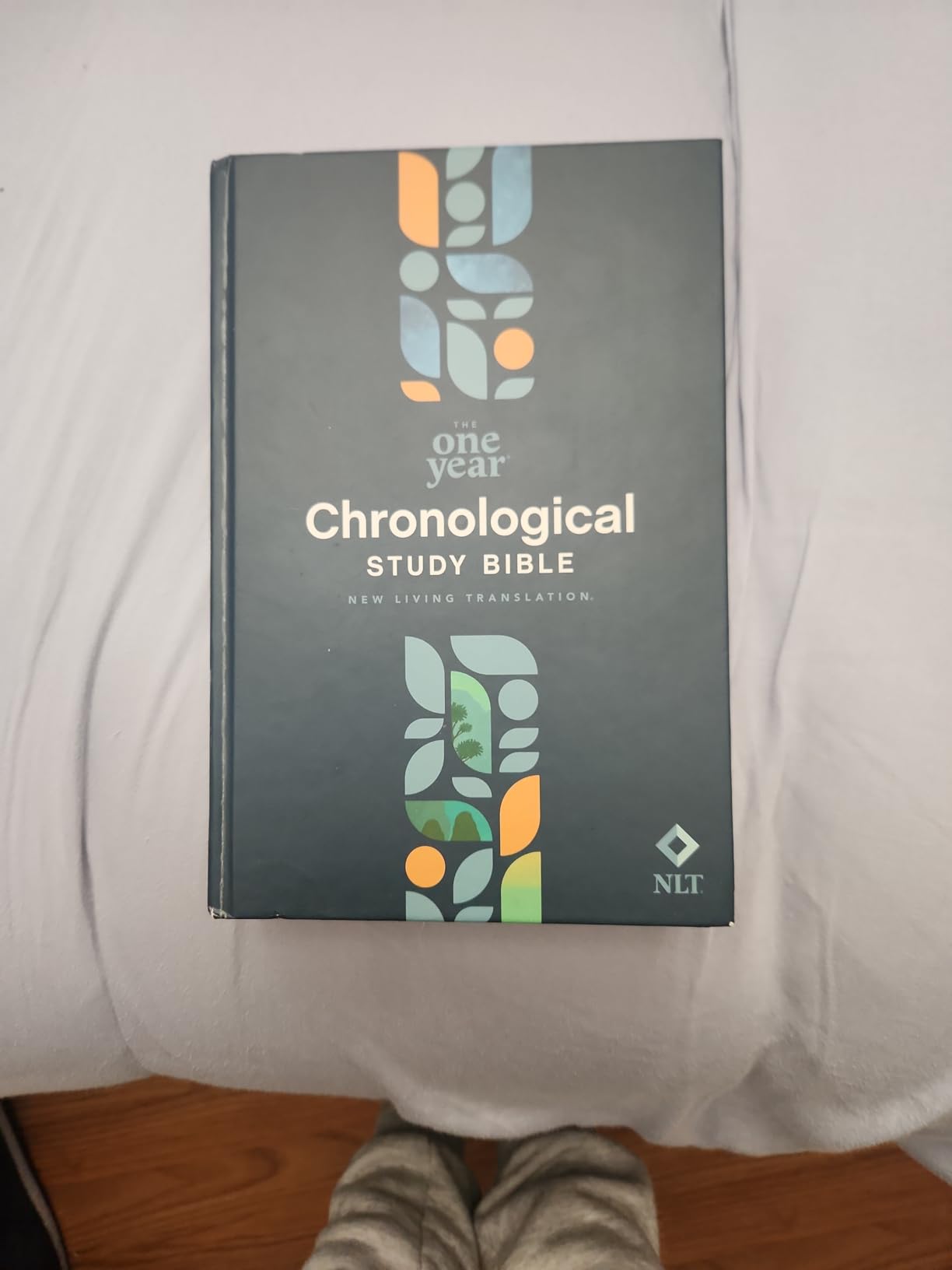 NLT One Year Chronological Study Bible (Softcover): Tyndale ...