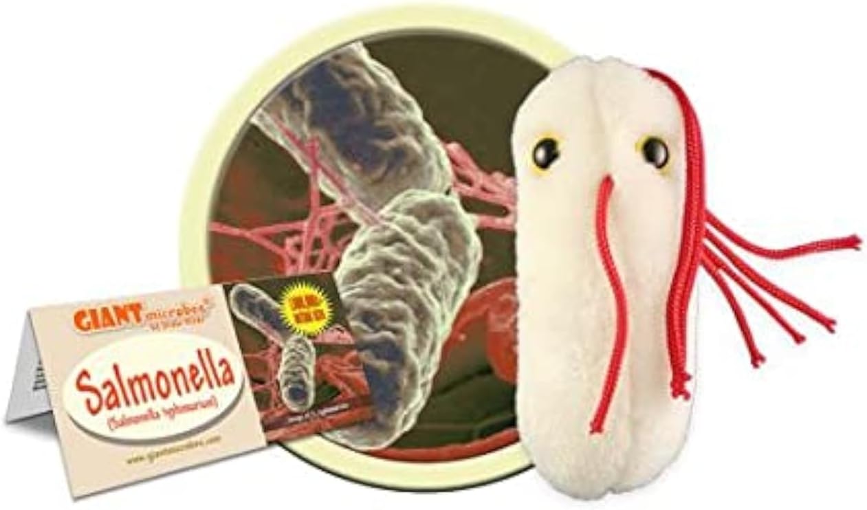 Giant Microbes Brain Cell (Neuron) Plush Toy : Amazon.com.mx: Juguetes ...