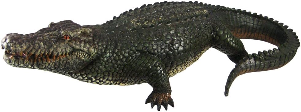 Amazon.com: Wowser Realistic Painted Cast Resin Alligator Statue, 20 1/ ...