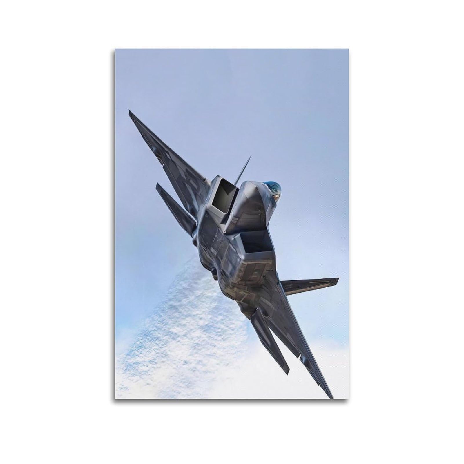 F 22 Peintures De Combat