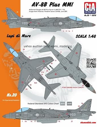 Amazon.co.jp: CTA-20 1/48 CTA AV-8B Harrier II Plus Italian Navy Decal ...