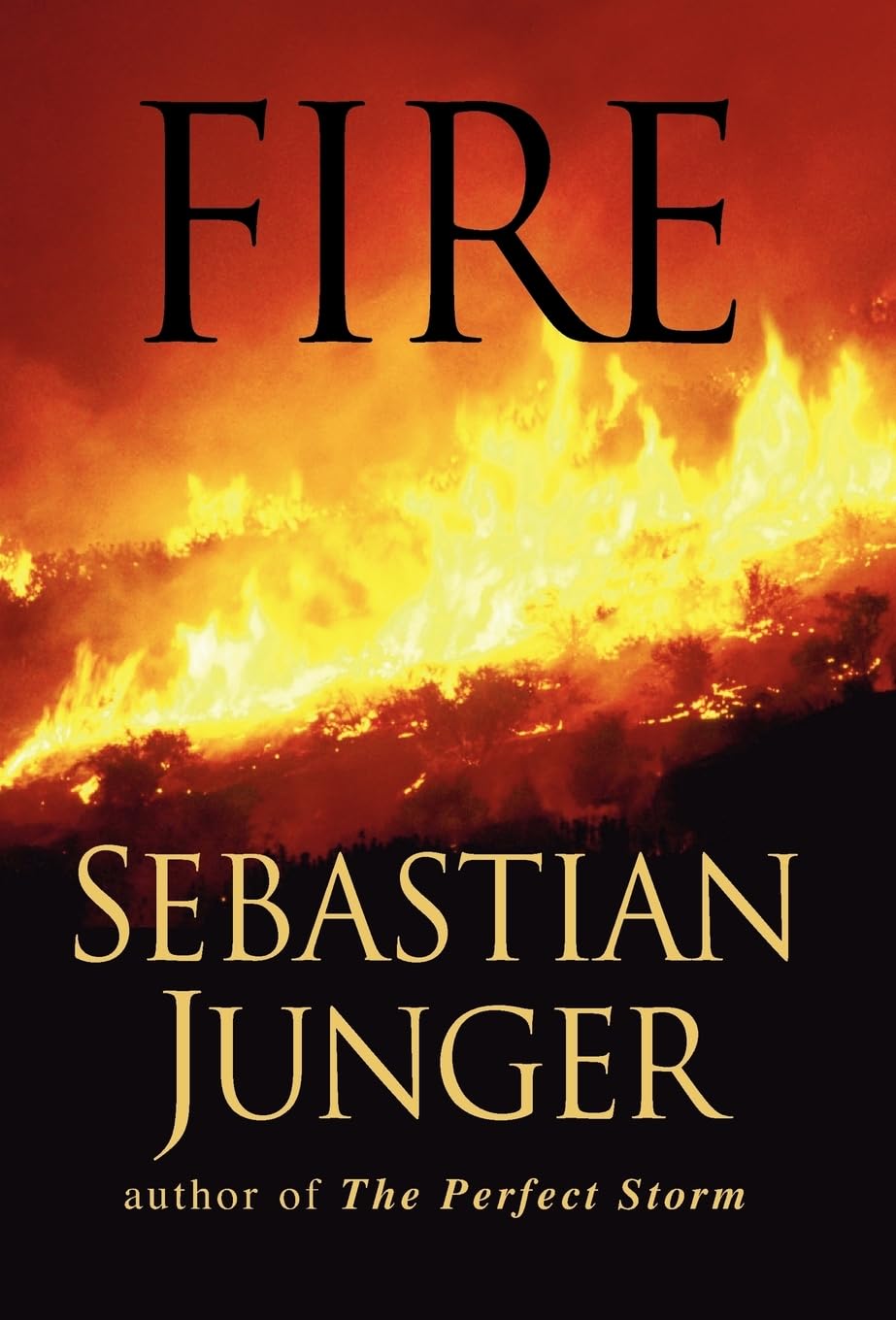 Fire: Junger, Sebastian: 9780393010466: Amazon.com: Books