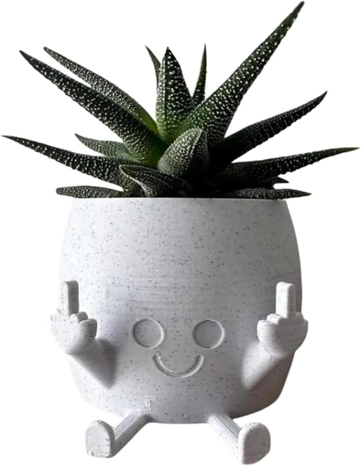 CHENRI Smiling Plant Pot with Middle Fingers Up, Cute Middle Finger ...
