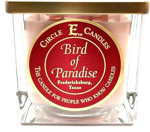 Amazon.com: Circle E Candles, Bird of Paradise Scent, Medium Size Jar ...
