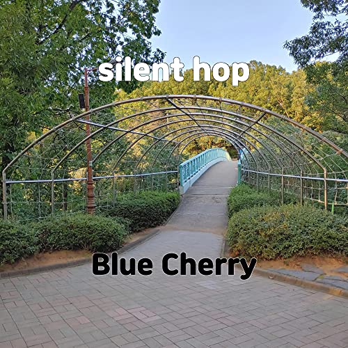 Amazon Music Unlimited - Blue Cherry 『silent hop』