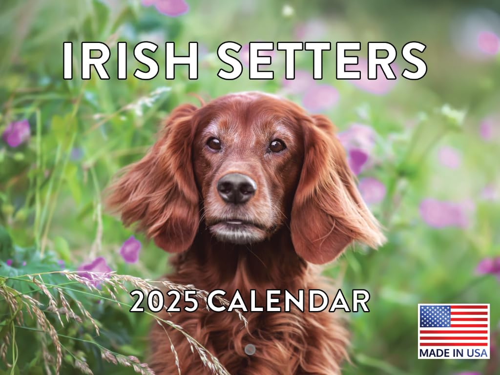 Amazon.com: Irish Setter Dog Calendar 2025 Monthly Wall | American Made ...