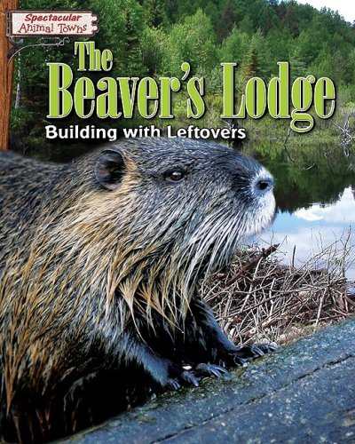 The Beaver's Lodge: Building with Leftovers (Spectacular Animal Towns ...
