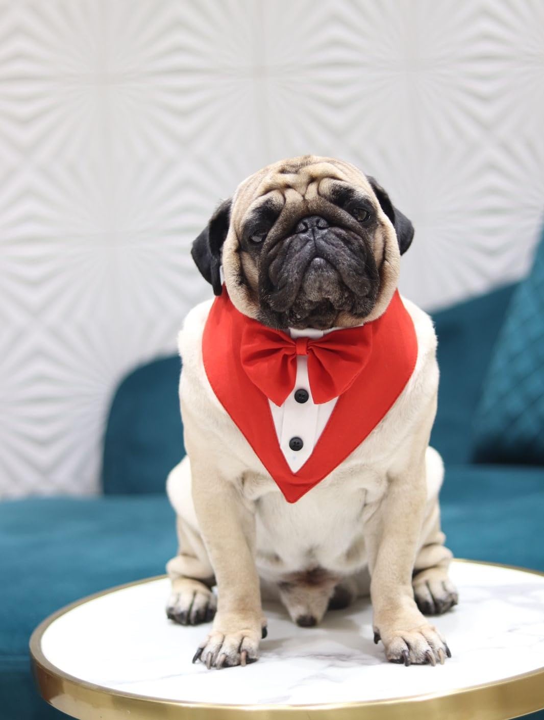 Pug Tuxedo Wedding Grey Dog Tuxedo Harness, Gray Dog Tuxedo , Dog