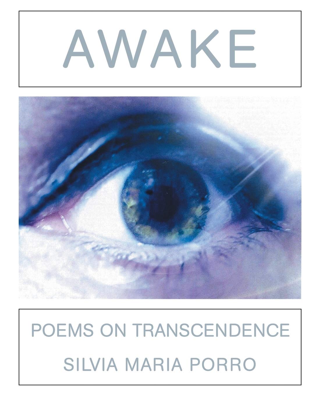 Awake: Poems on Transcendence: Porro, Silvia Maria: 9781504345484 ...