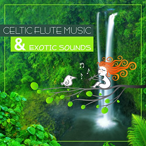 Amazon.com: Celtic Flute Music & Exotic Sounds: Celtic Instrumental ...
