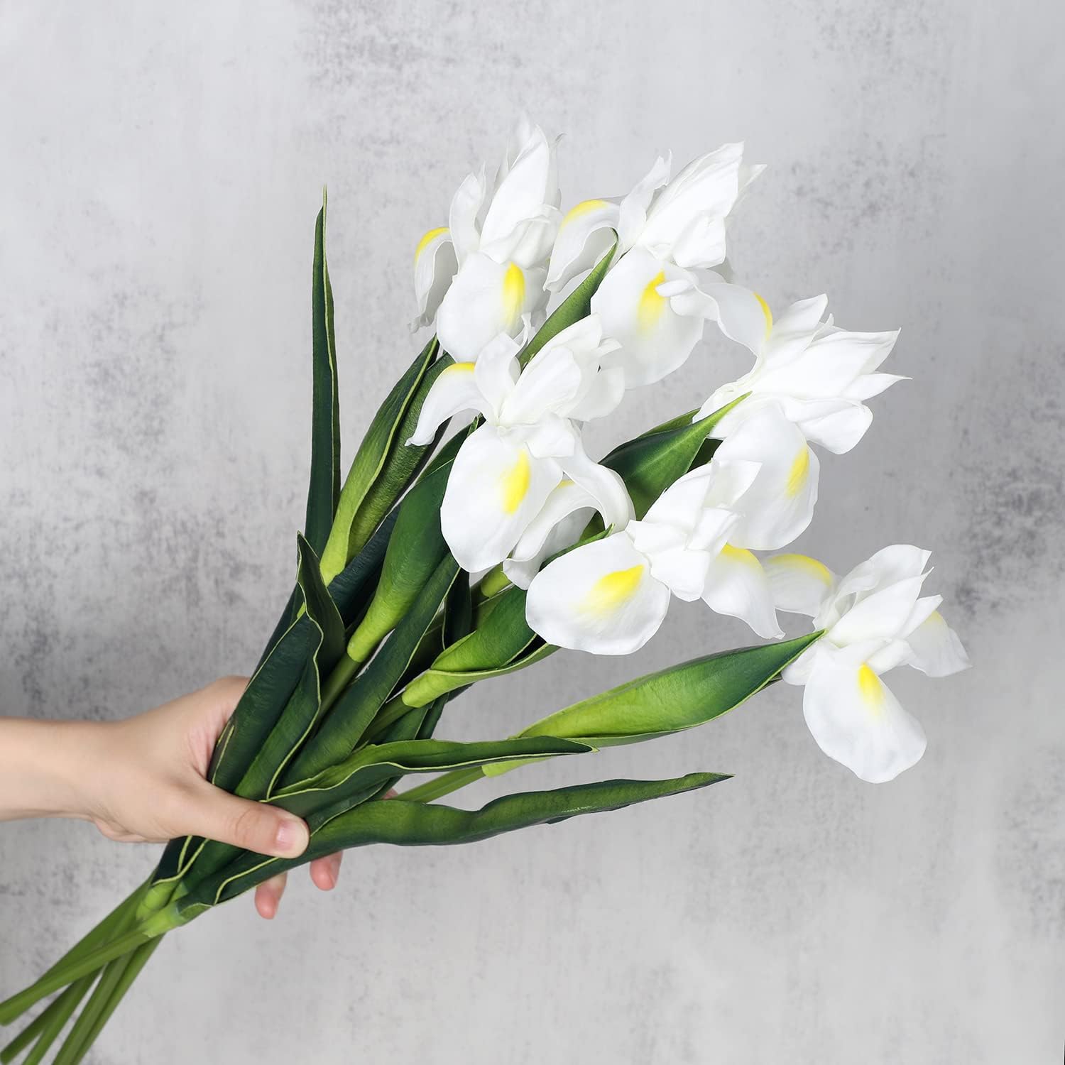 huaao 6PCS Fiori di Iris Artificiali Finti in Lattice, Steli Lunghi ...