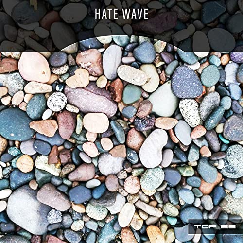 Amazon.co.jp: Hate Wave Top 22 : VARIOUS ARTISTS: デジタルミュージック