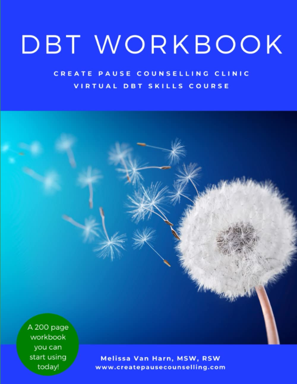 Buy Create PAUSE Counselling Clinic's Virtual DBT Skills Course: DBT ...