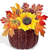 Amazon.com: Extra Large - Fall Decorations for Home Lighted Fall Gnomes ...