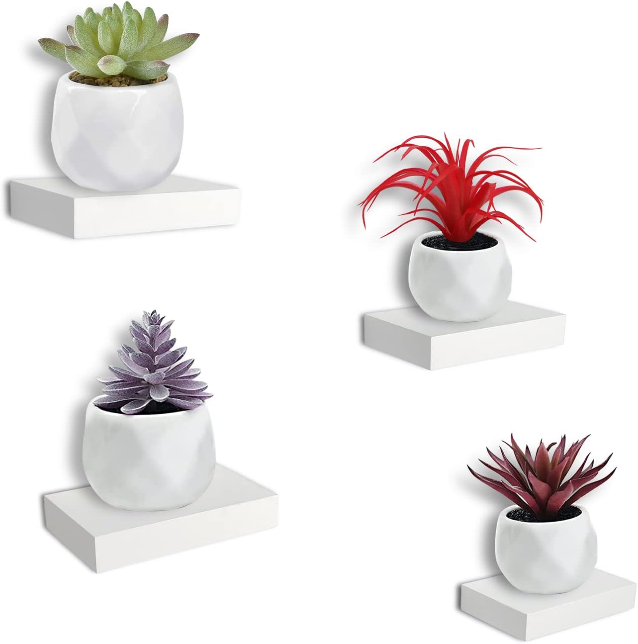 Amazon.com: RANK Wall Mount Display Ledges Showcase Floating Shelves ...