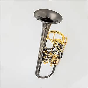 Amazon.com: Bb Trumpet Rotary Valve Type B Flat Brass Flat Key ...
