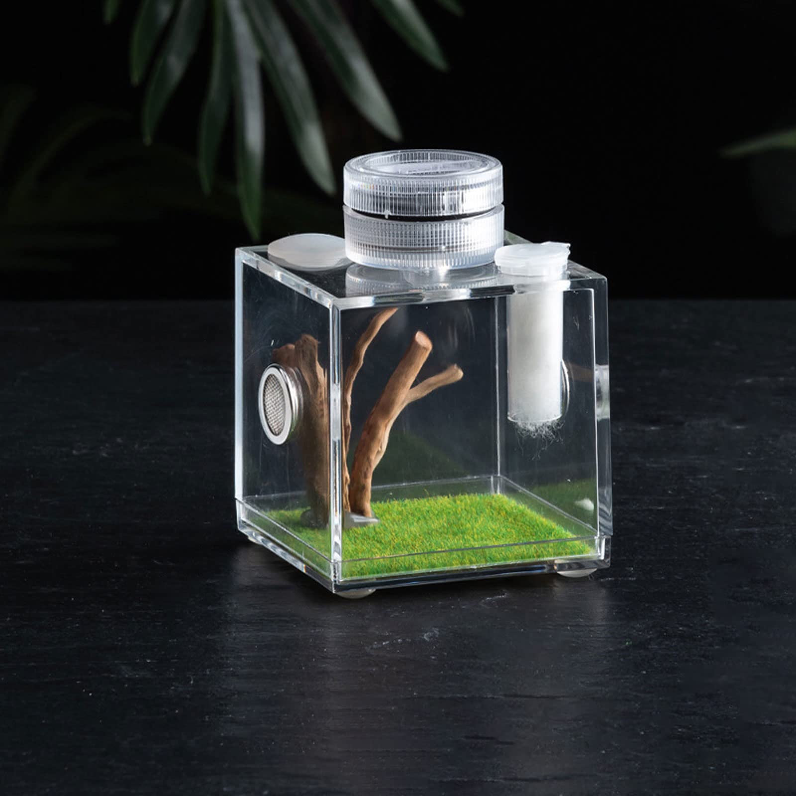 Buy Reptile Feeding Box Breeding Box Clear Acrylic Terrarium Reptile ...