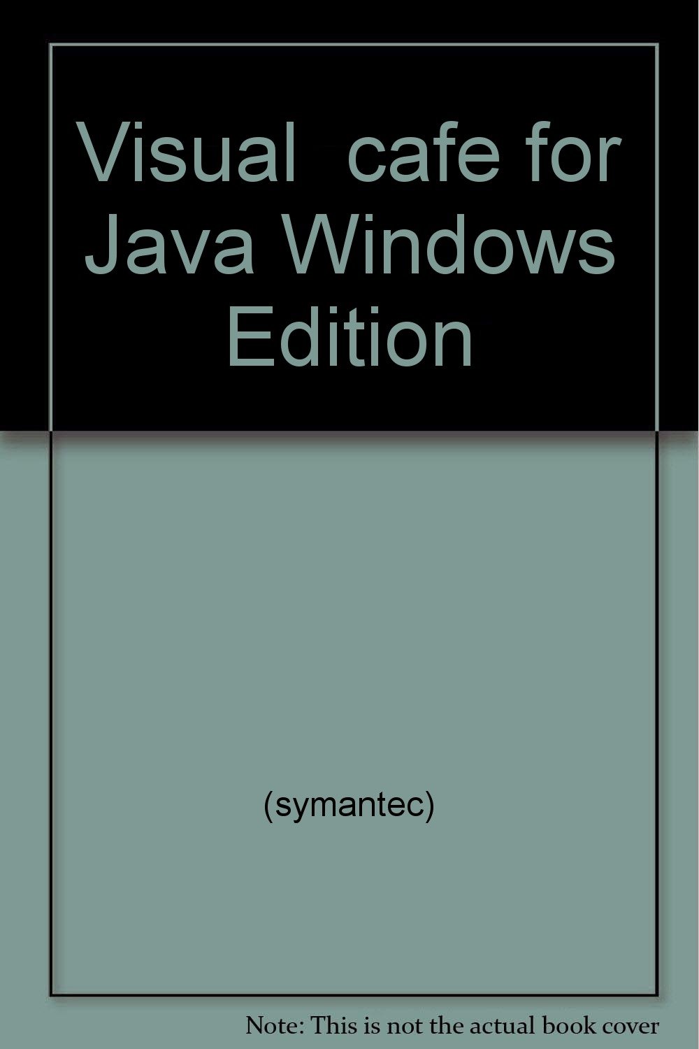 Visual cafe for Java Windows Edition: (symantec): Amazon.com: Books