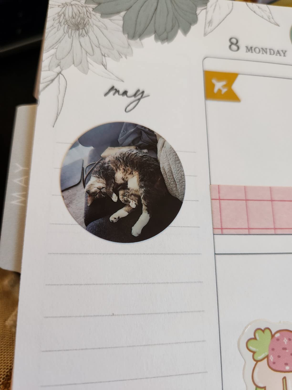 $3/mo - Finance Canon IVY ZINK Pre-Cut Circle Sticker Paper, 20 Sheets ...